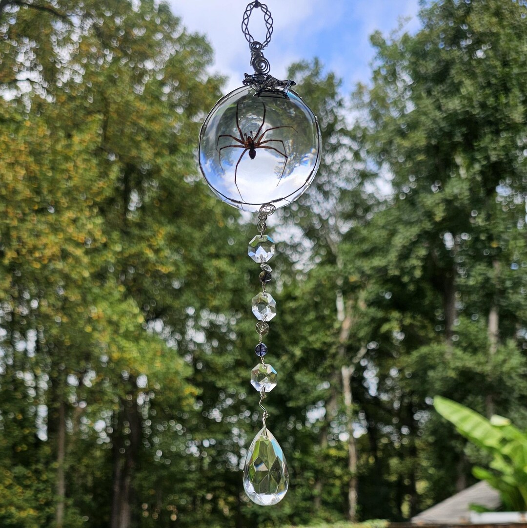 Suncatcher, Real Spider, Spider in Resin, Spider Sun-catcher, Maryland ...