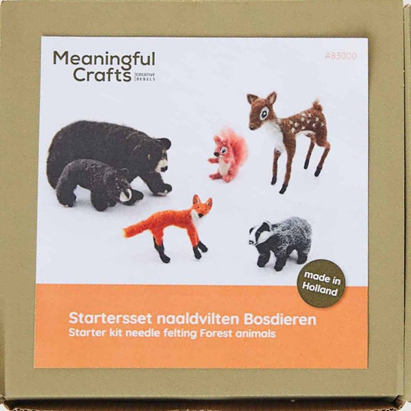 Beginner Felting Kit - Etsy