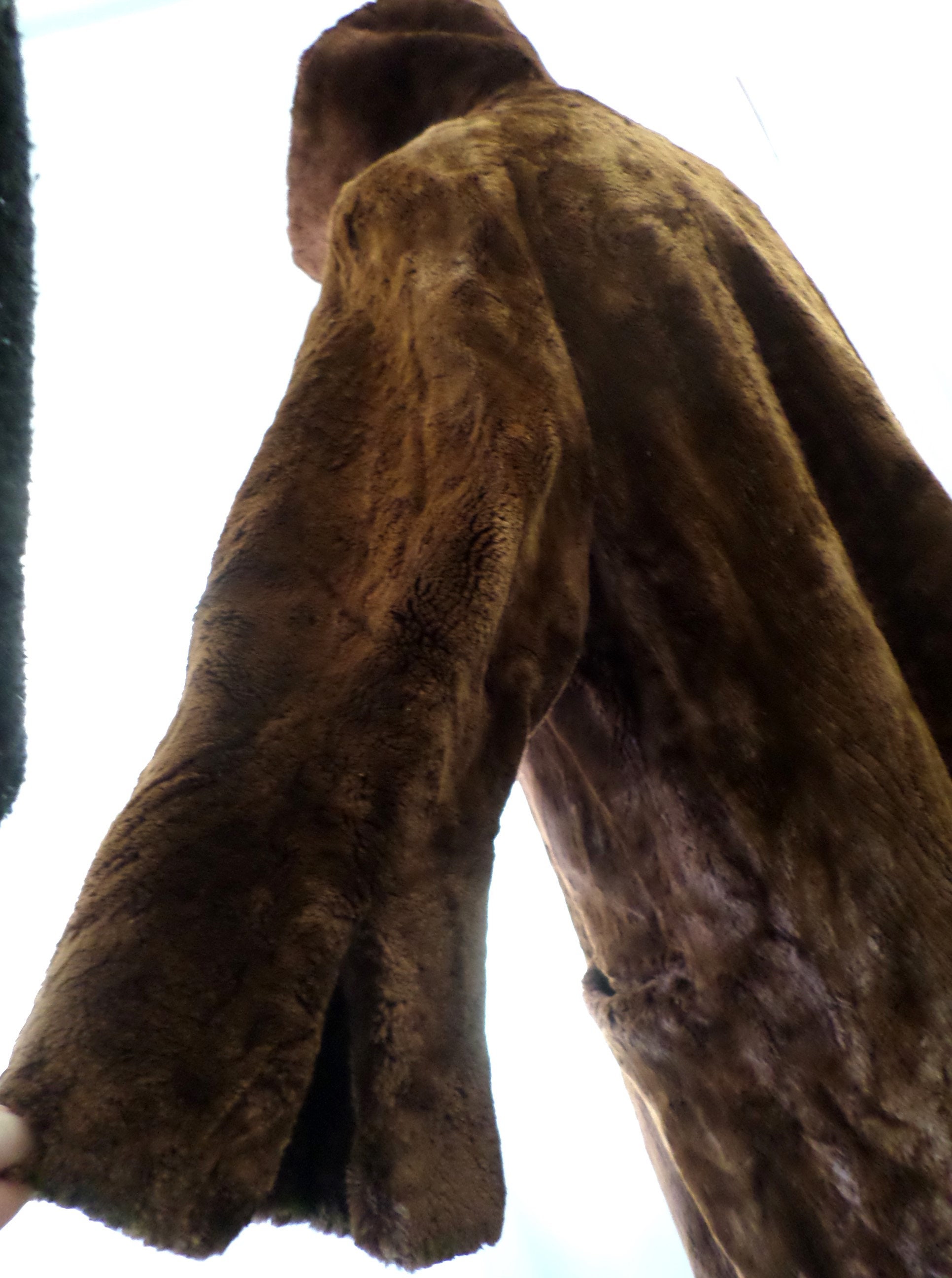 Vintage 1920s Fur Coat Brown Long Flapper Great Gatsby Era Rare Family ...