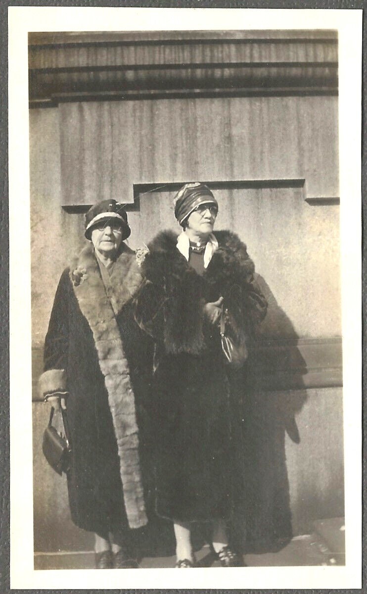 Vintage 1920s Fur Coat Brown Long Flapper Great Gatsby Era Rare Family ...