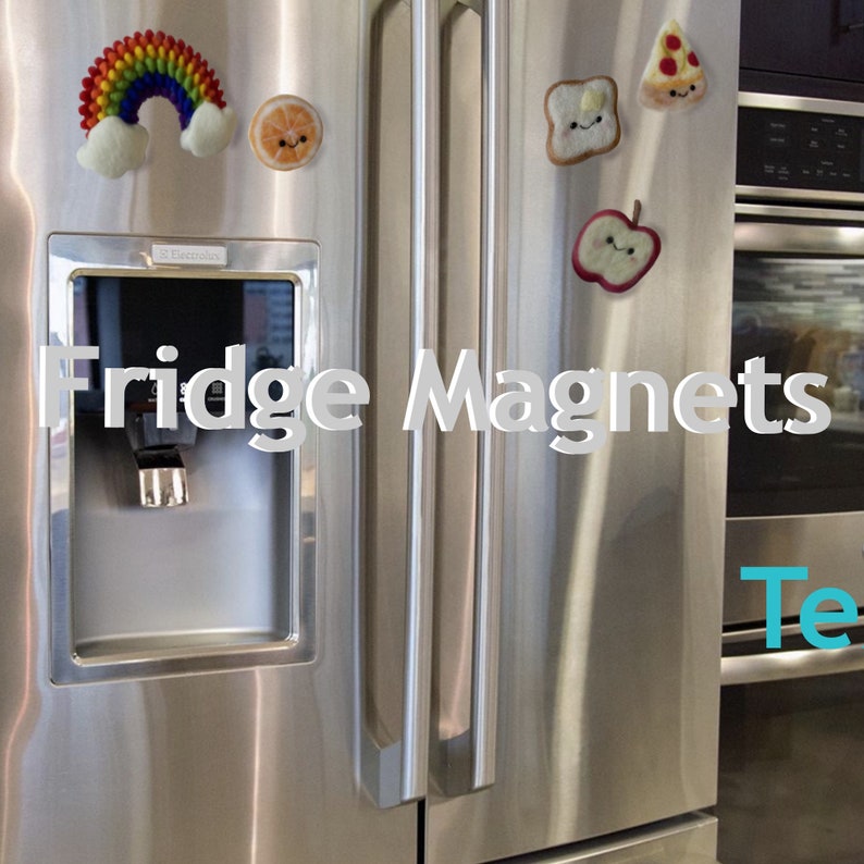 2 Fruit Fridge Magnet Kitchen Magnet Orange Magnet - Etsy