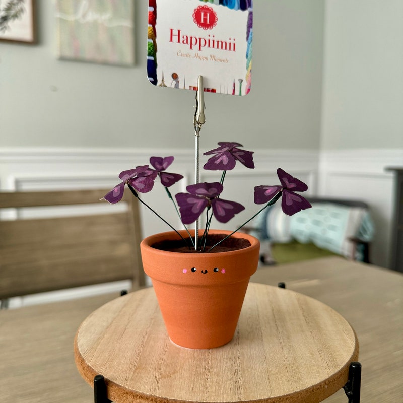 Butterfly Wing Plant - Etsy