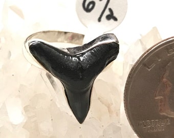Shark tooth ring | Etsy