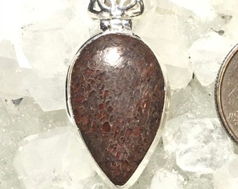 Mens Dinosaur Bone Necklace - Etsy