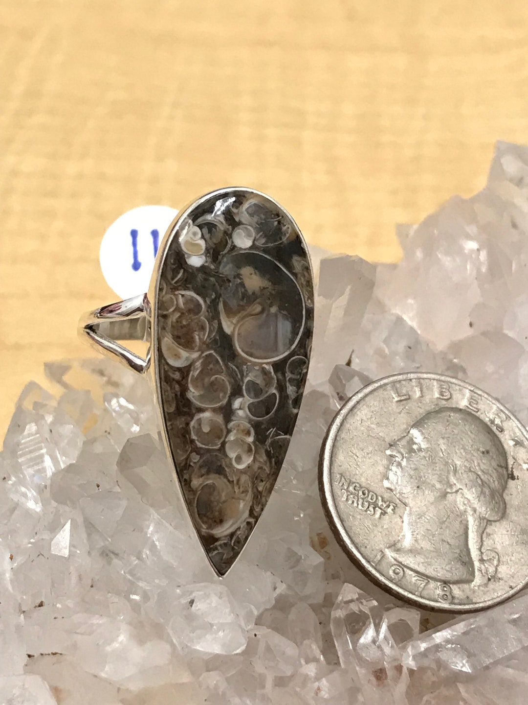 Turtella Ring, Size 11 1/2 - Etsy