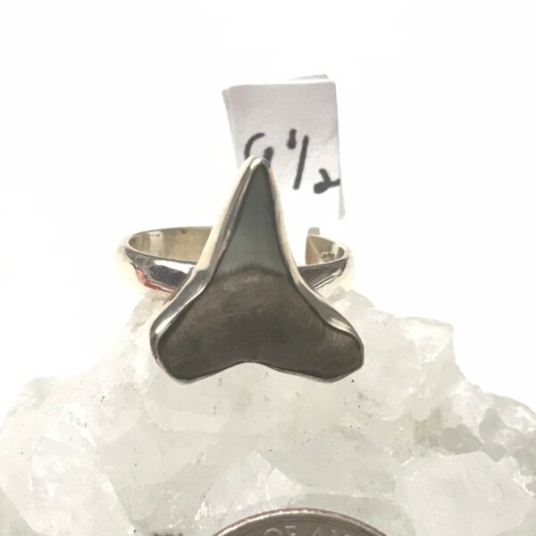 Tooth Ring - Etsy