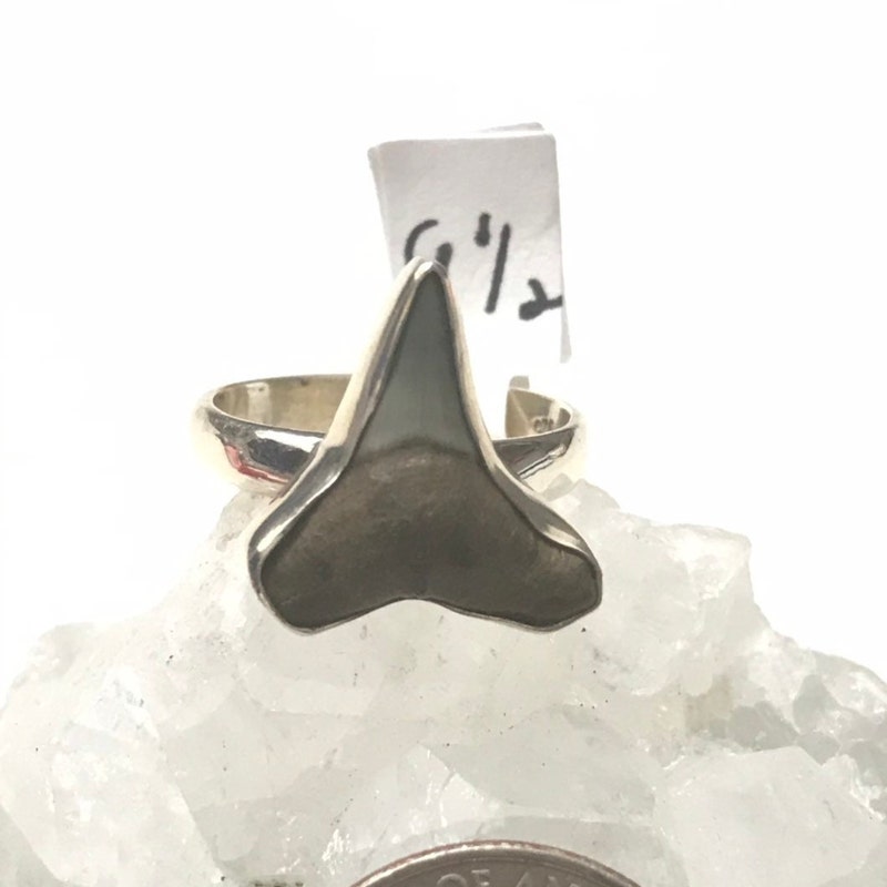 Tooth Ring - Etsy