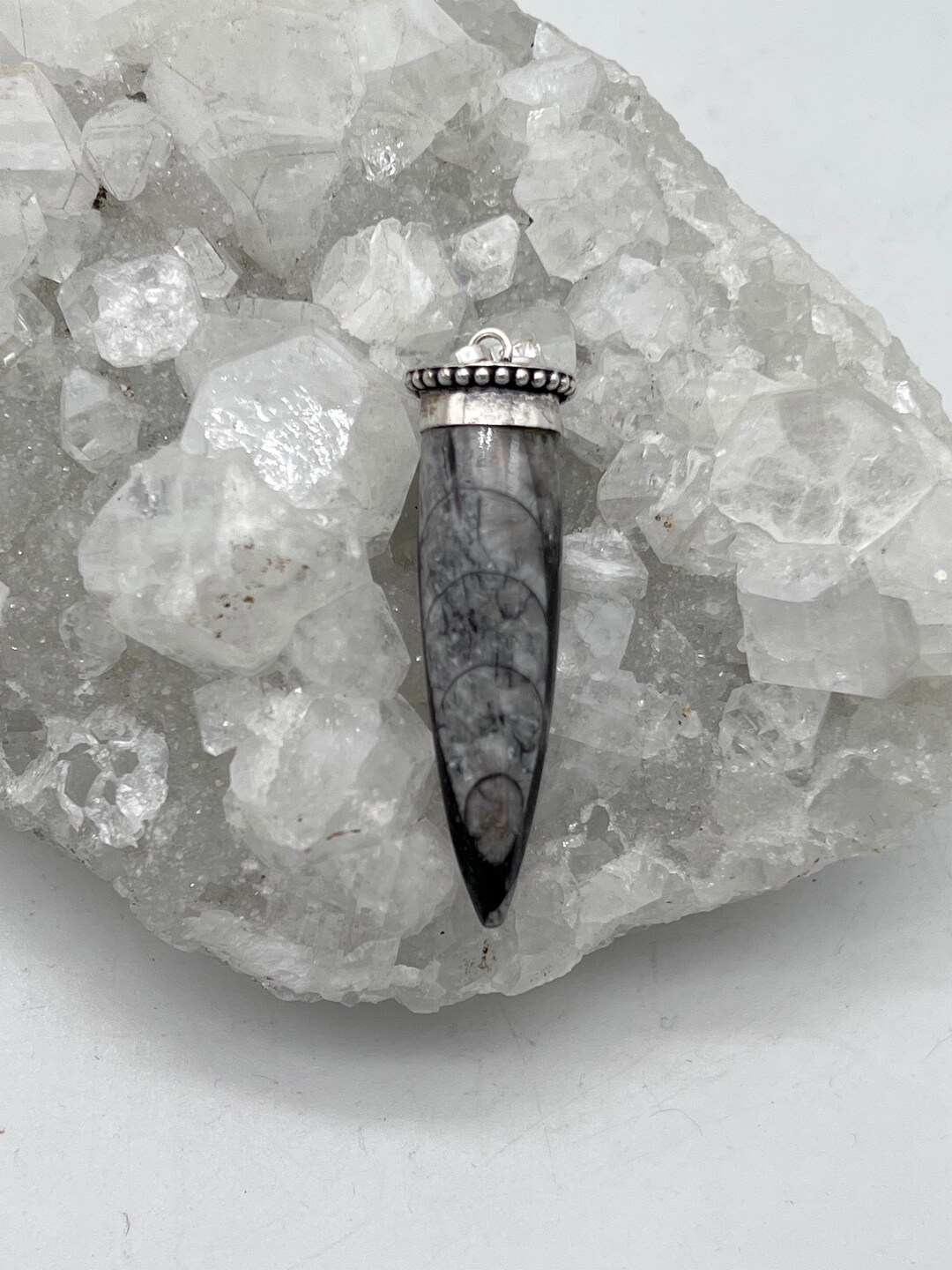 Orthoceras Fossil Point Pendant - Etsy