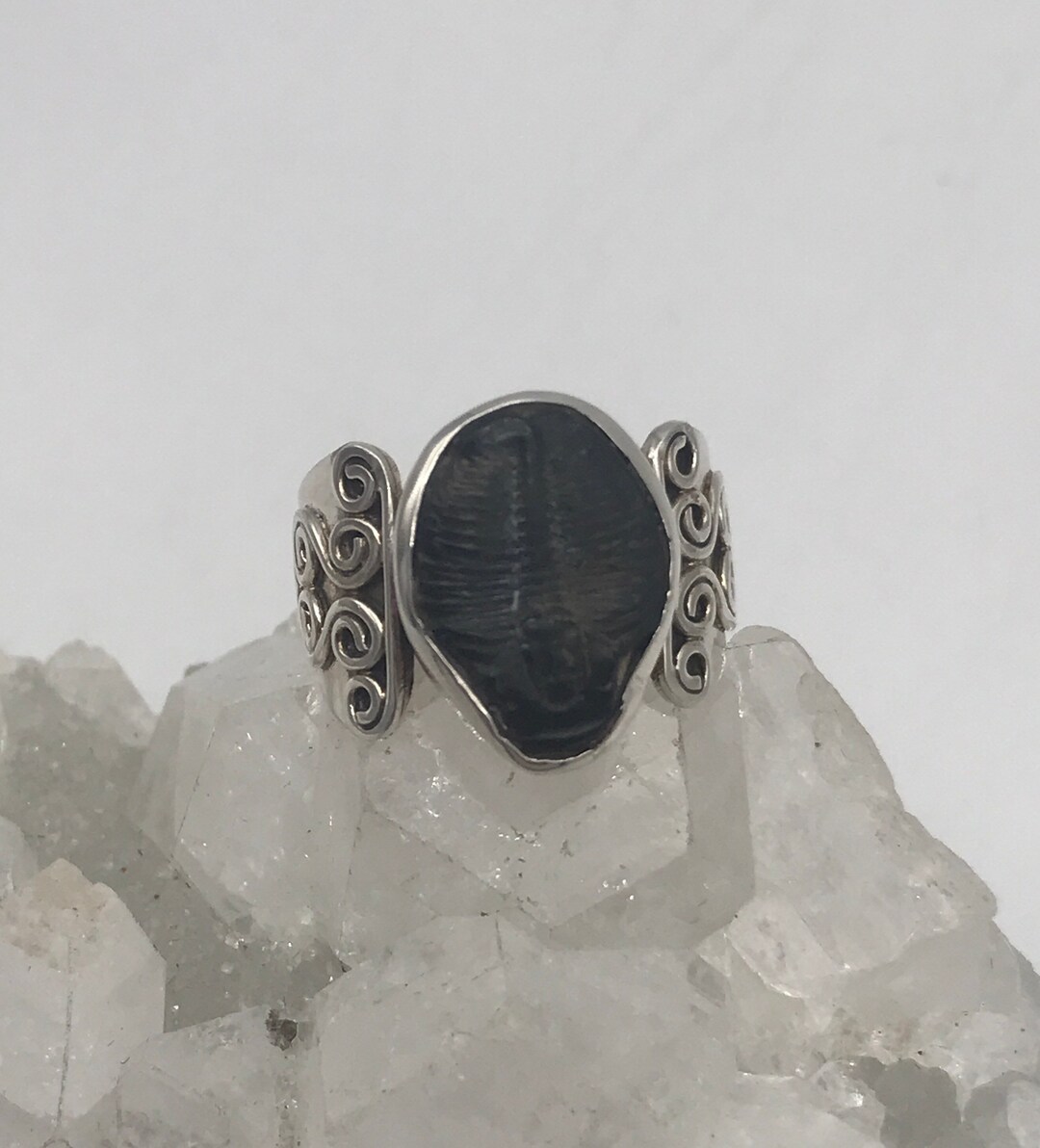 Fossil Trilobite Stone Ring Size 8 - Etsy