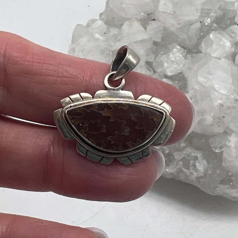 Ammonite Suturing - Etsy