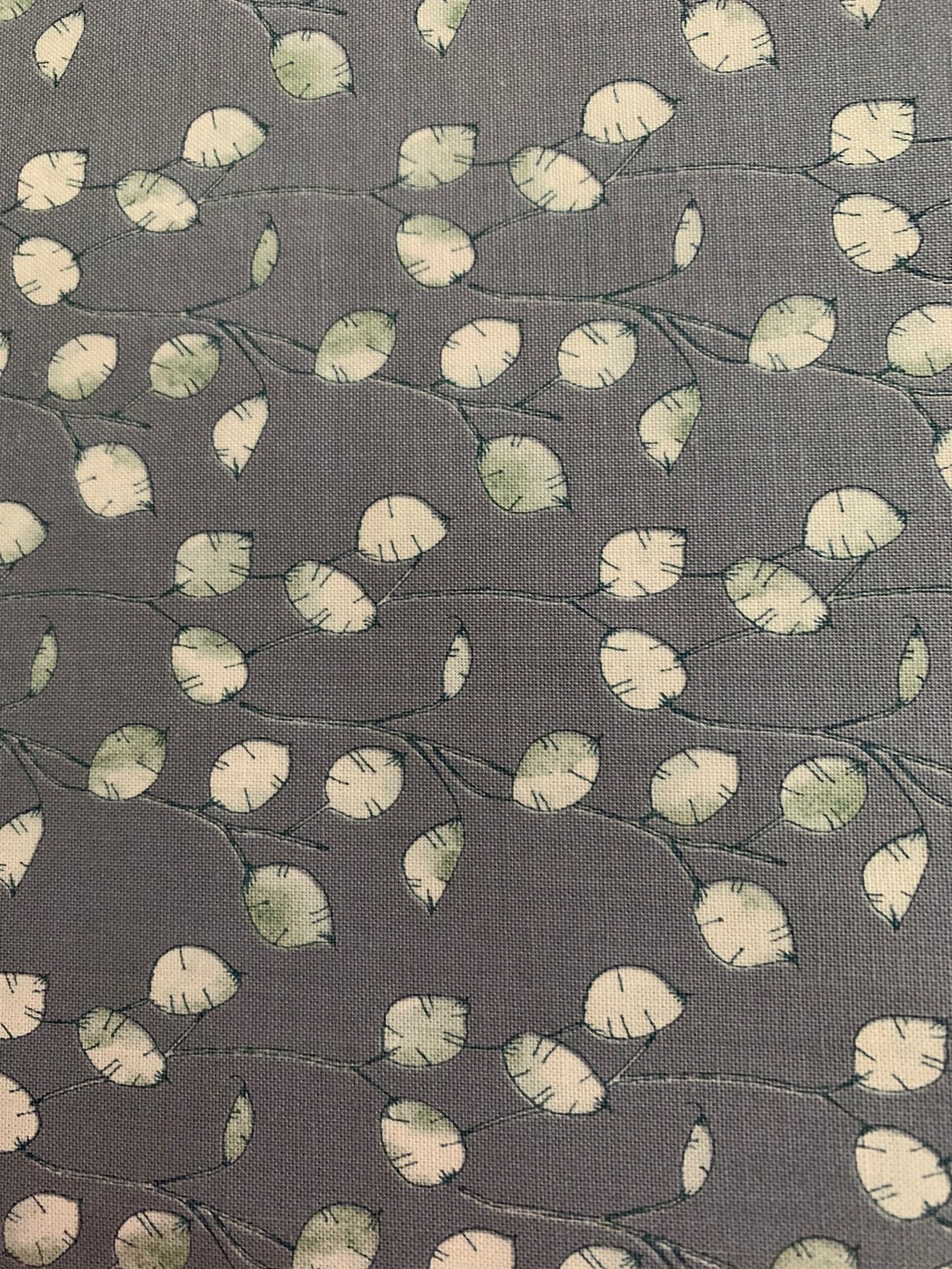 Honesty Seeds, Light Gray Seeds on Thin Branches on Gray Bkgrnd ...