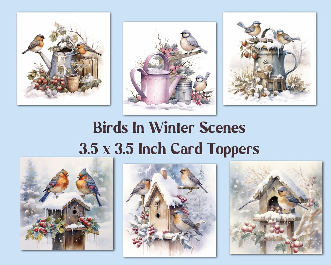 Birds in Winter Scenes Square Card Toppers for Card Making, Tags, Note ...