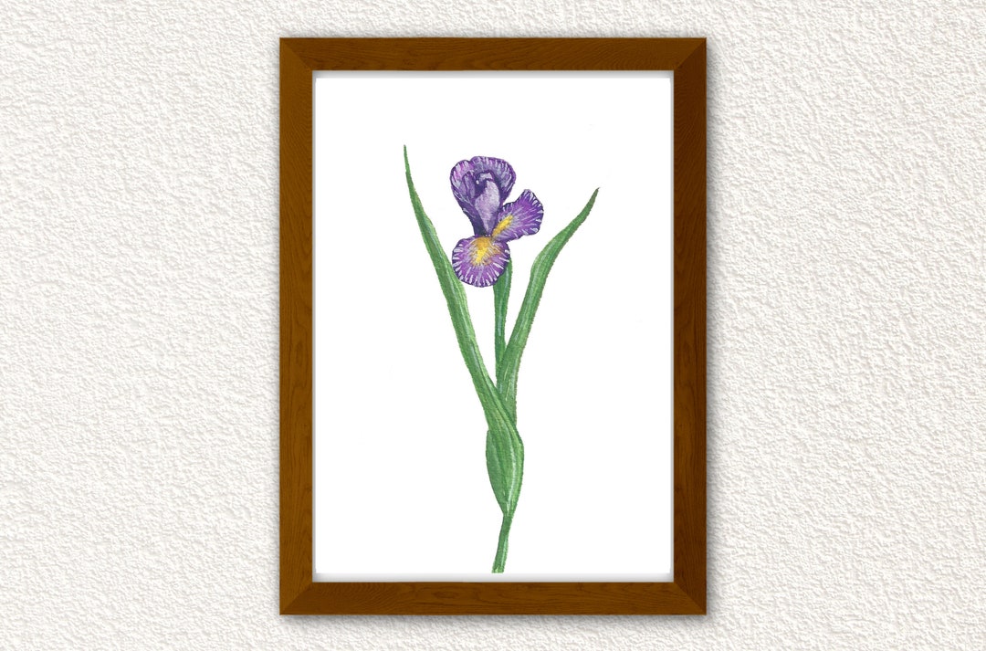 Iris Watercolor Painting *digital File* - Etsy