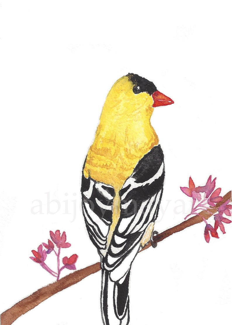 Finch Watercolor Print. Digital Download - Etsy