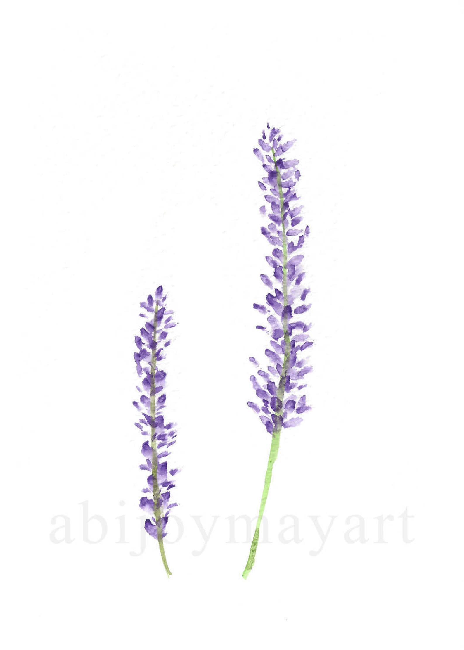 Lavender Watercolor Print. Home Decor. Lavender Print. - Etsy