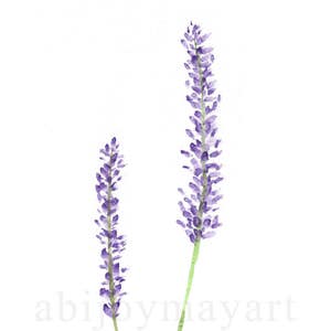 Lavender Watercolor Print. Home Decor. Lavender Print. - Etsy