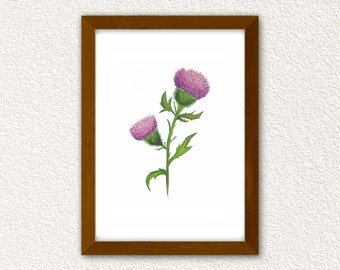 Digital Download Original Watercolor Painting Thistle Flowers Pink ...
