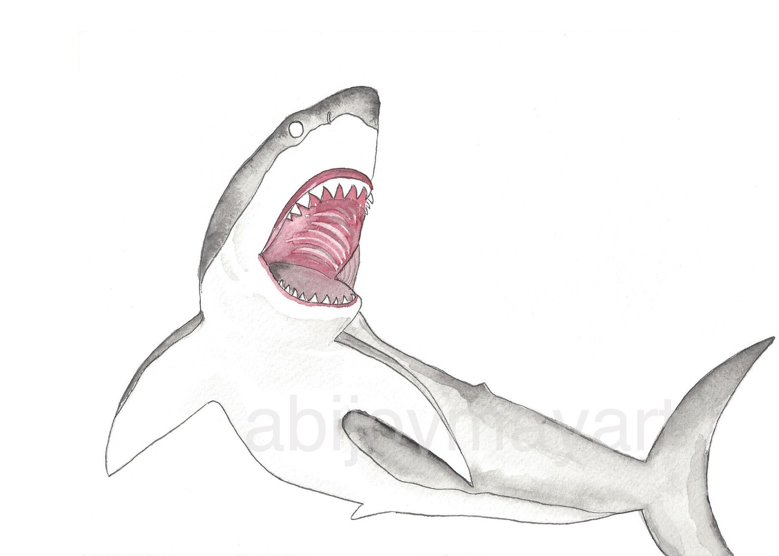 Great White Shark Print. Digital Download - Etsy