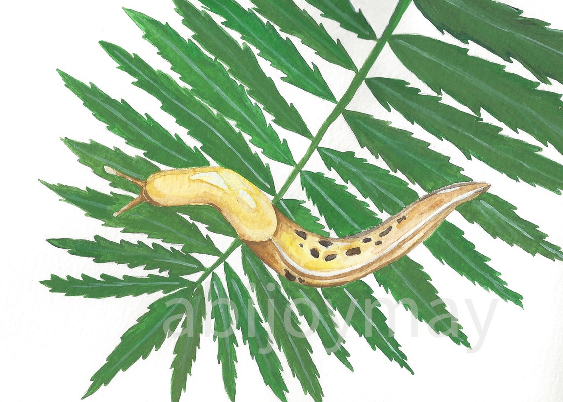 Banana Slug Watercolor Print. Slug Print. Home Decor. Digital Download ...