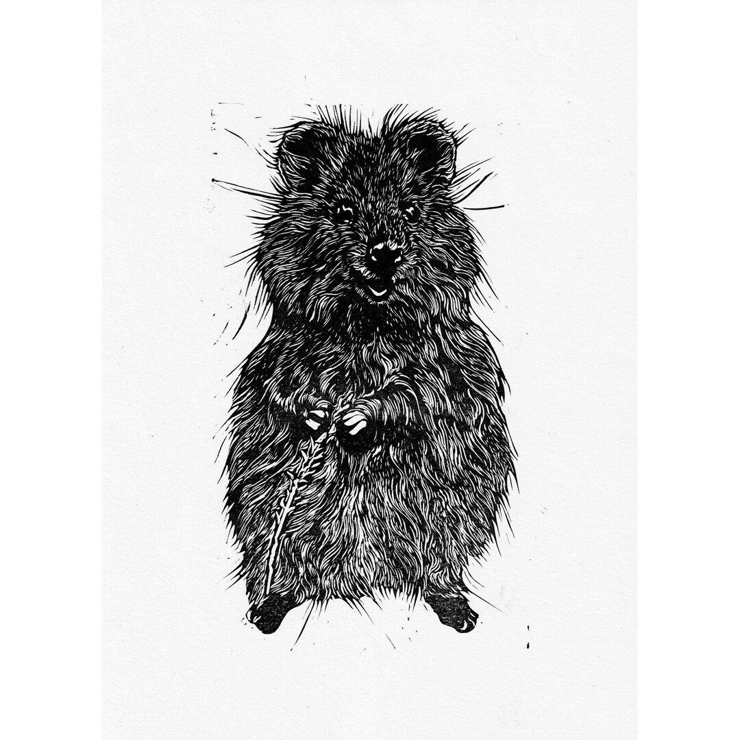 Happy Quokka// Original A4 Linocut Print, Wildlife, Animal, Marsupial ...