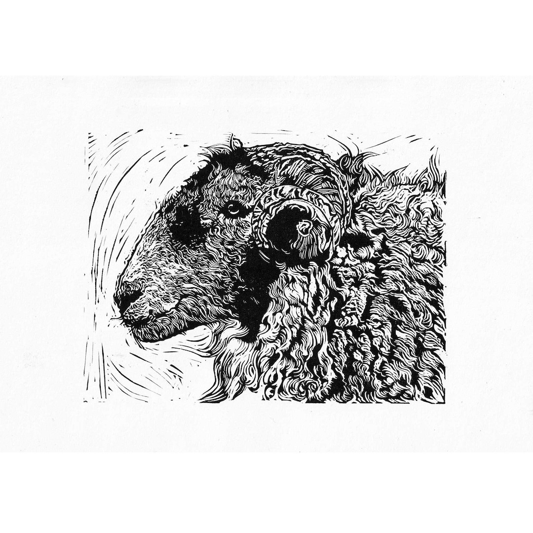 Sheep //original A4 Linocut Print, Wildlife, Farm Animal Portrait ...