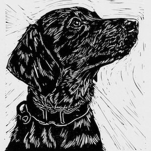 Dackel // Original Linoldruck, Hund, Tierportrait in hochwertigen ...