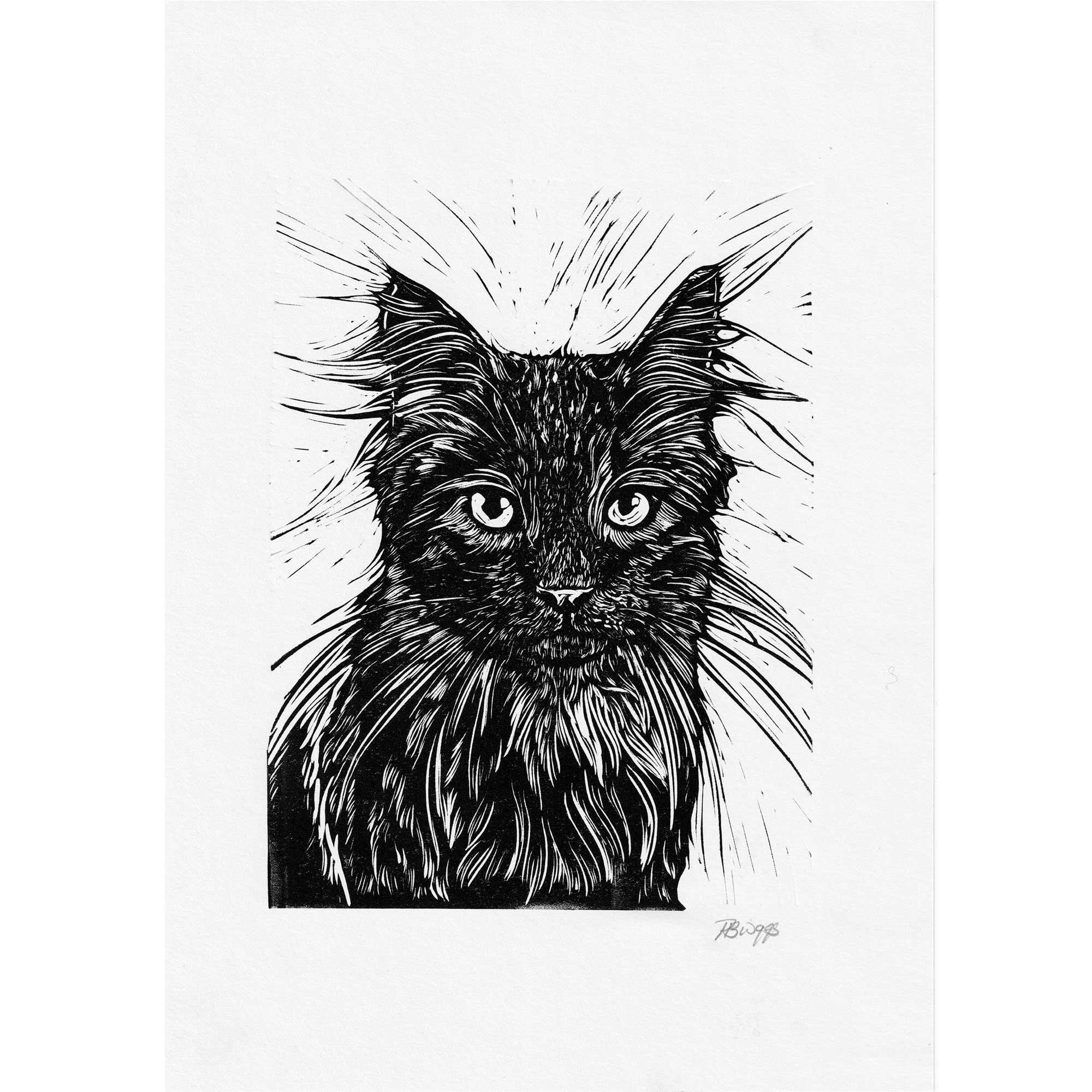 Cat // Original A4 Linocut print cat lover pet portrait - Etsy