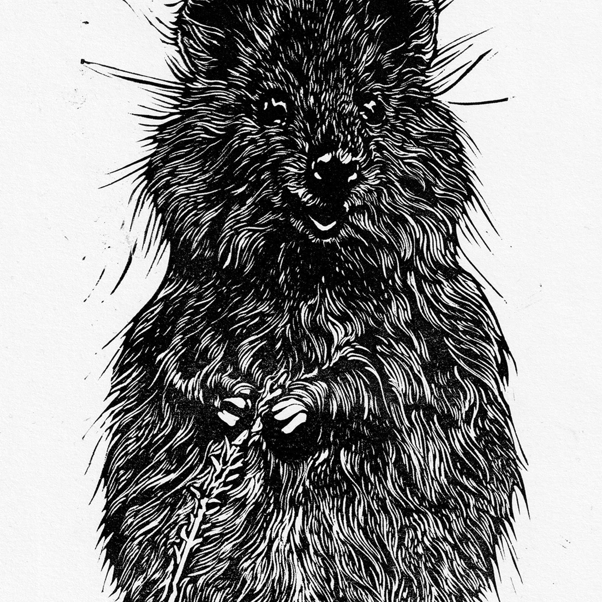 Happy Quokka// Original A4 Linocut Print Wildlife Animal - Etsy Australia