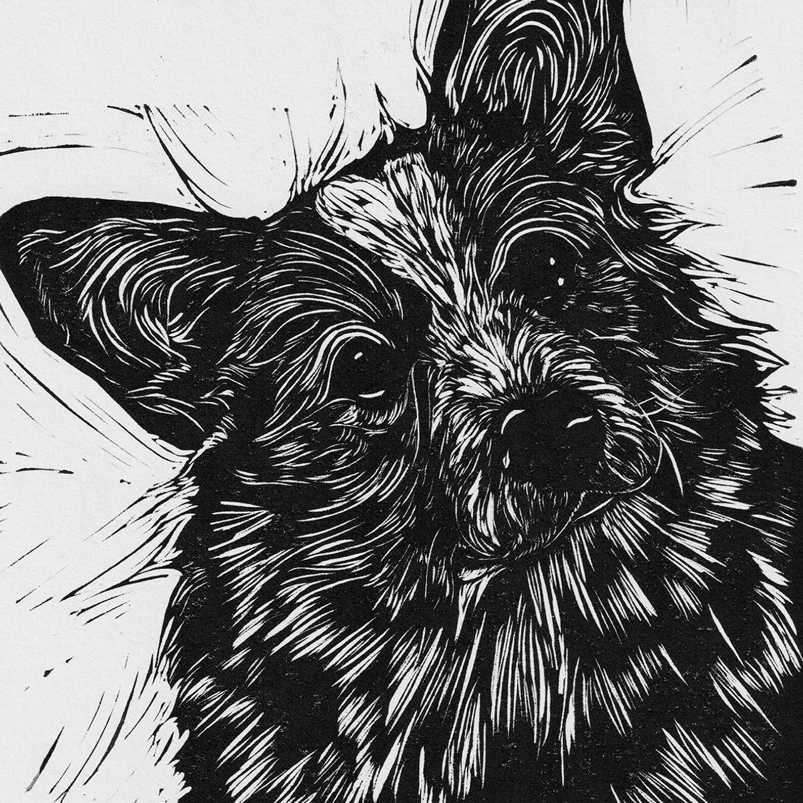 Corgis / Original A4 Linoldruck Hund Haustierportrait - Etsy