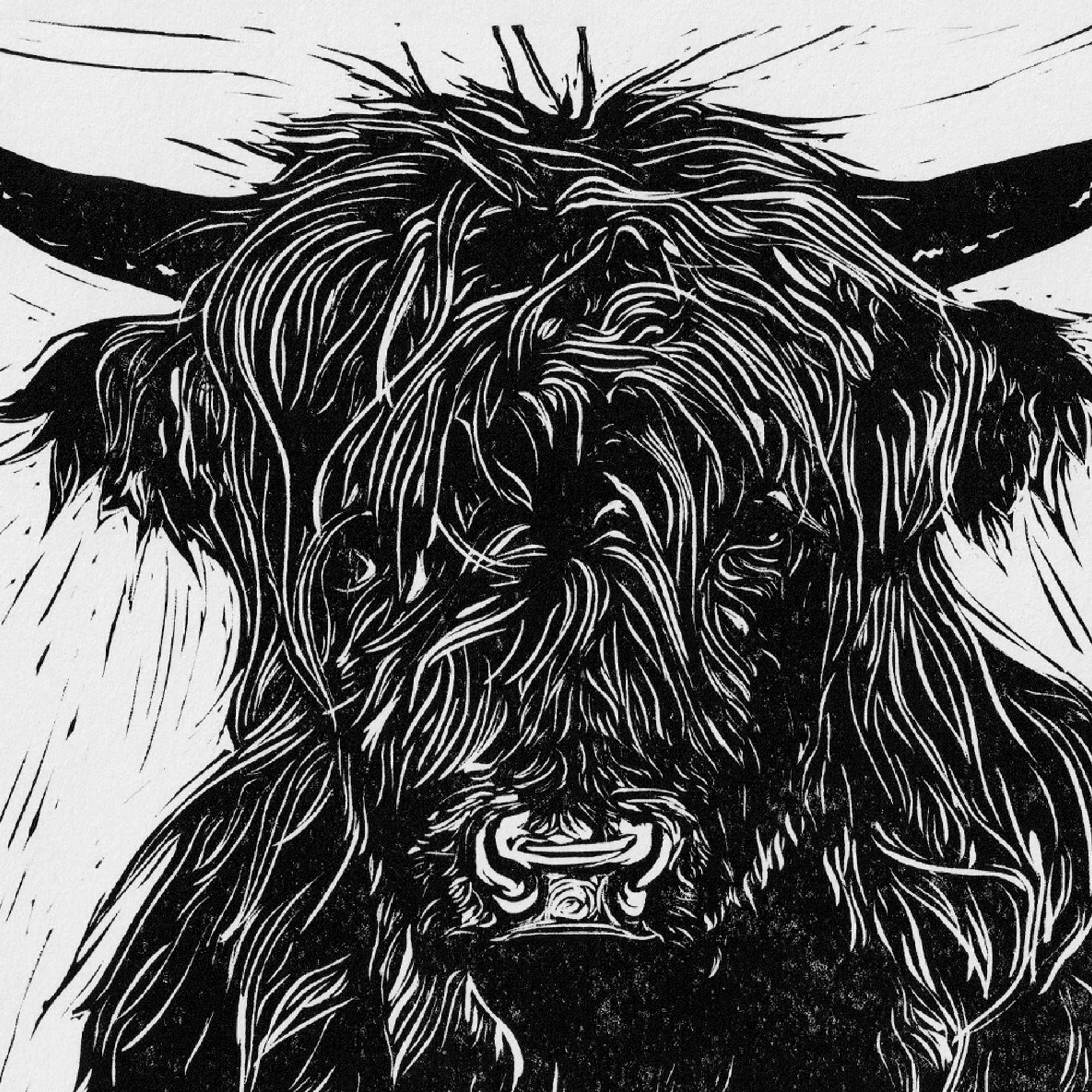 Highland Cow // Original Linocut Print Farm Animal Portrait | Etsy
