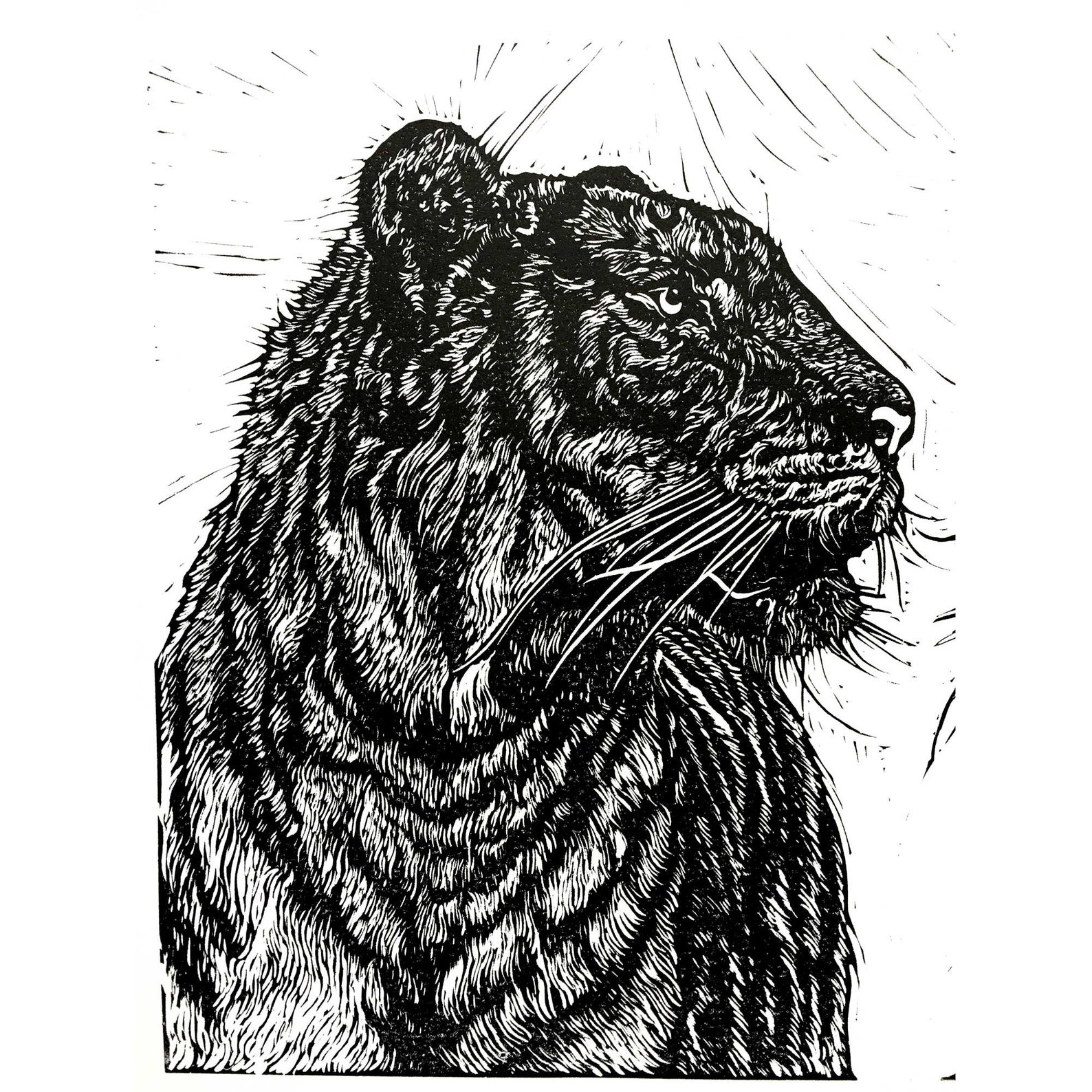 Tigers // Original A3 Linocut Print Wildlife Portrait - Etsy