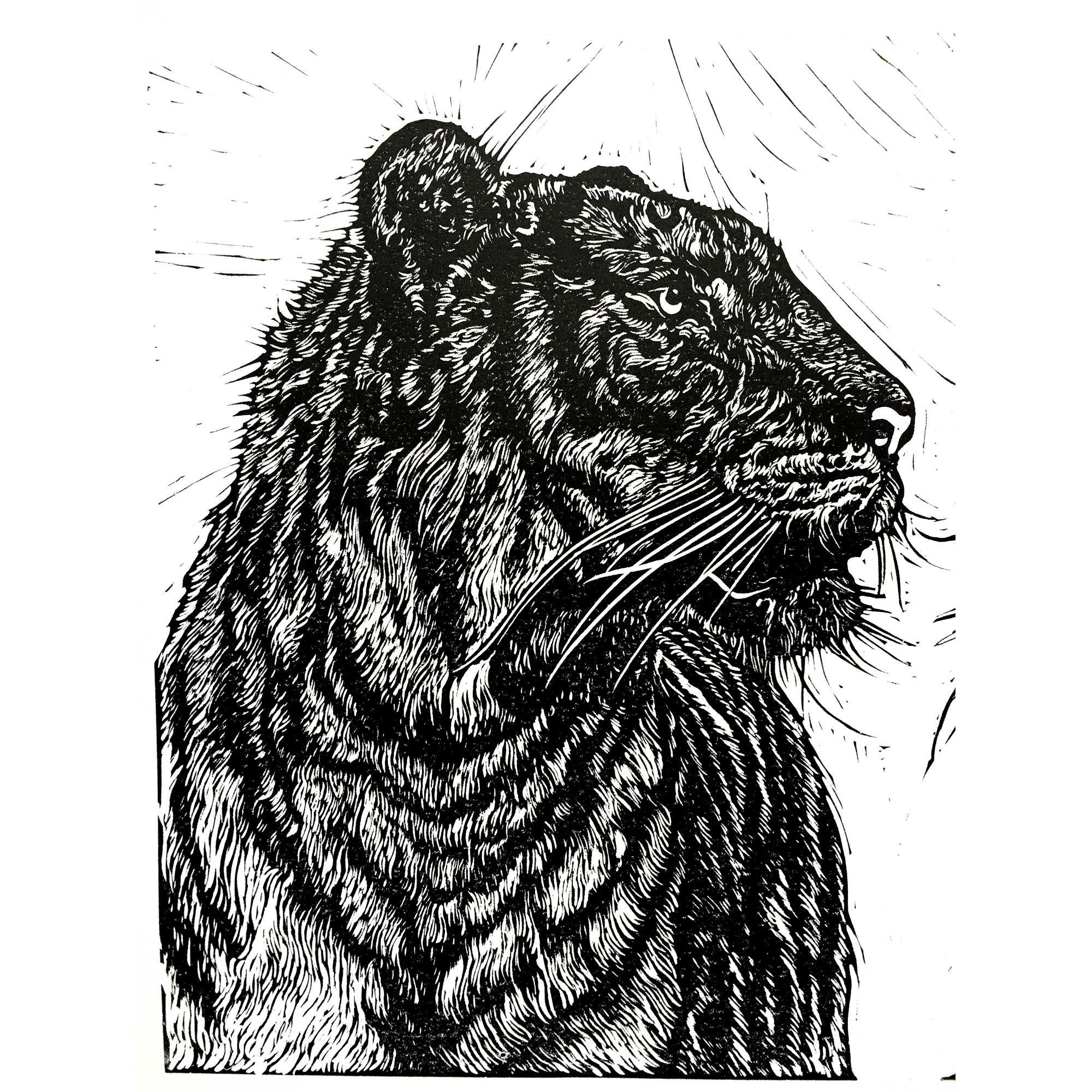 Tigers // Original A3 Linocut Print Wildlife Portrait - Etsy