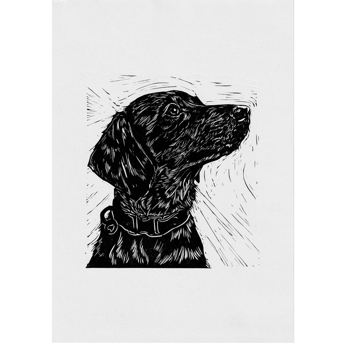 Dackel // Original Linoldruck, Hund, Tierportrait in hochwertigen ...