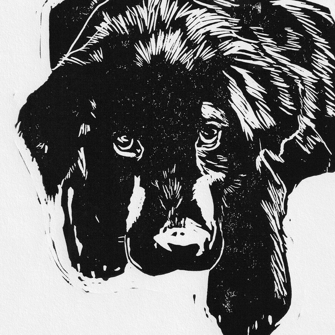 Labrador Puppy //original Linocut Print Dog Pet Portrait - Etsy