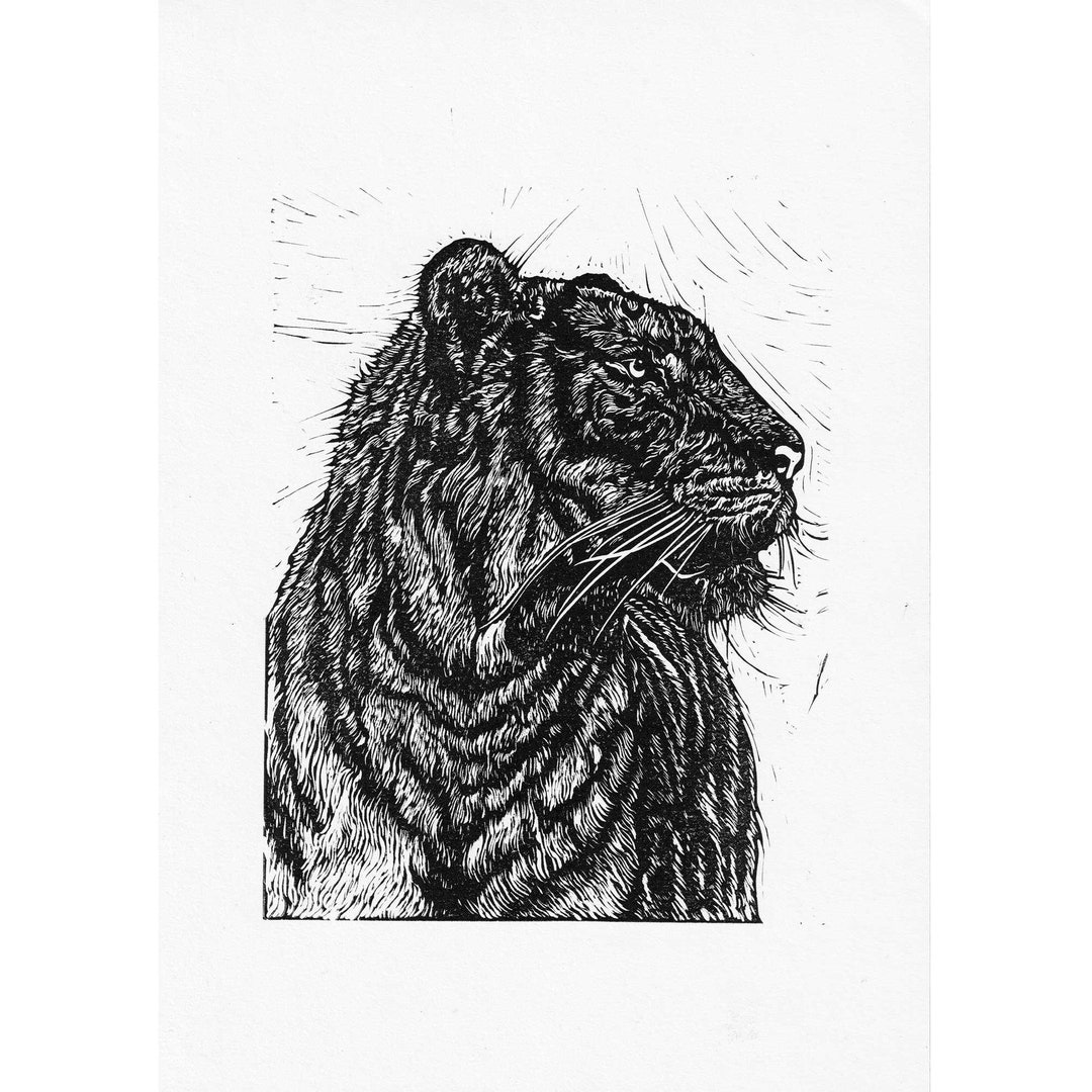 Tiger 2 // Original A4 Linocut Print, Wildlife Portrait Handprinted in ...