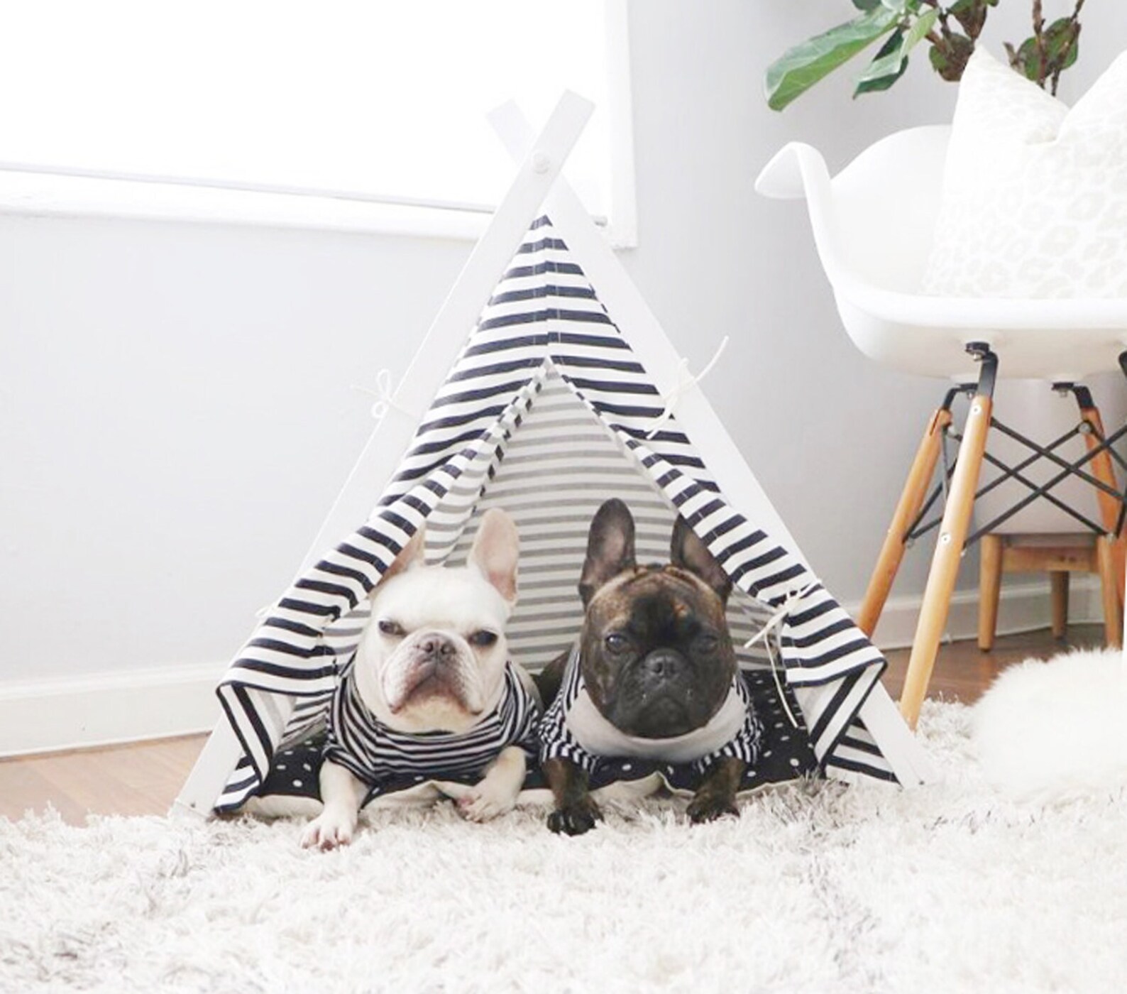 Dog Teepee Black Stripes Teepee Bed for Toy Terrier - Etsy