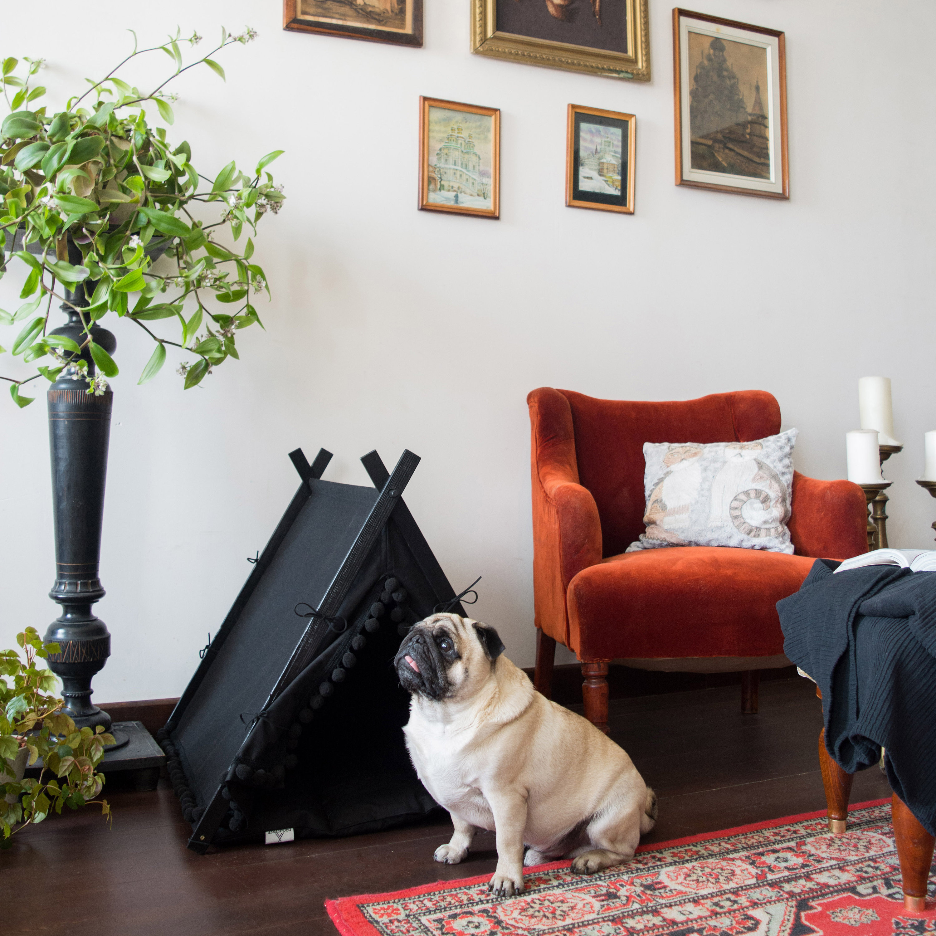 Black Dog Bed With Pom-poms. Boho Chic Dog Teepee Tent. - Etsy