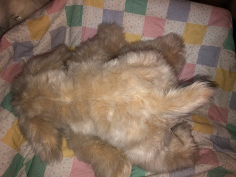 Vintage Russ Dog Plush Curly Fluffy Version 14 Cream | Etsy