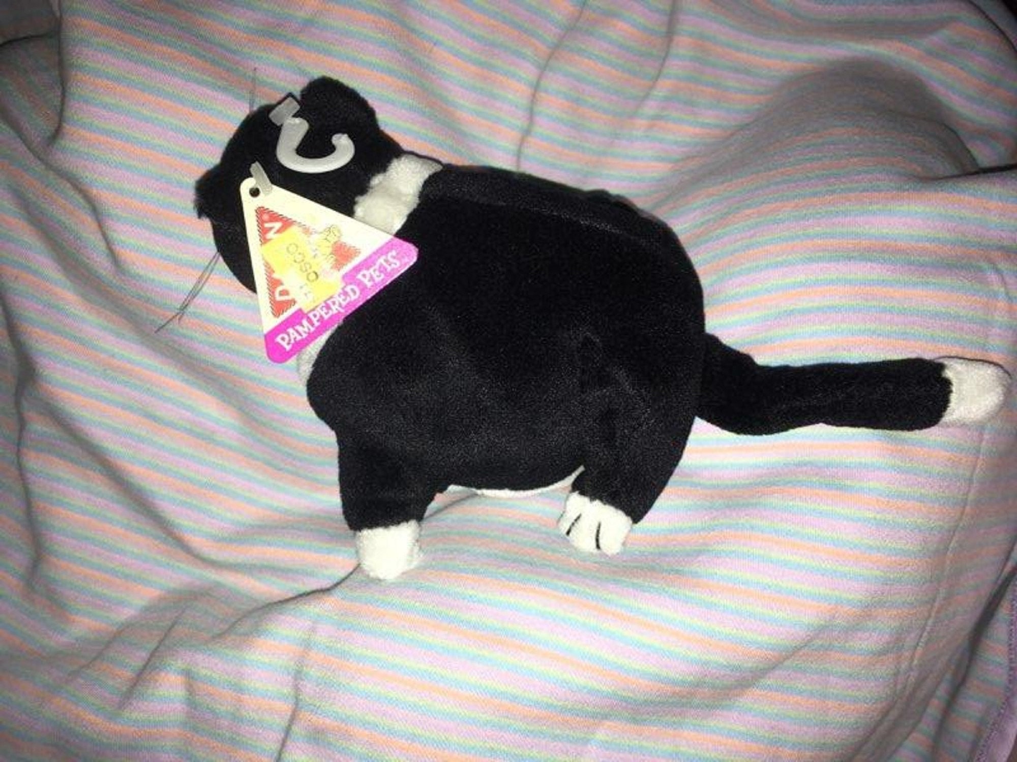 Vintage Dakin Cat Plush Pampered Pets Black White Small - Etsy