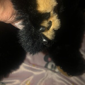 Vintage First & Main Bear Plush Dimples Black Beige Rubber Claws ECU 16 ...