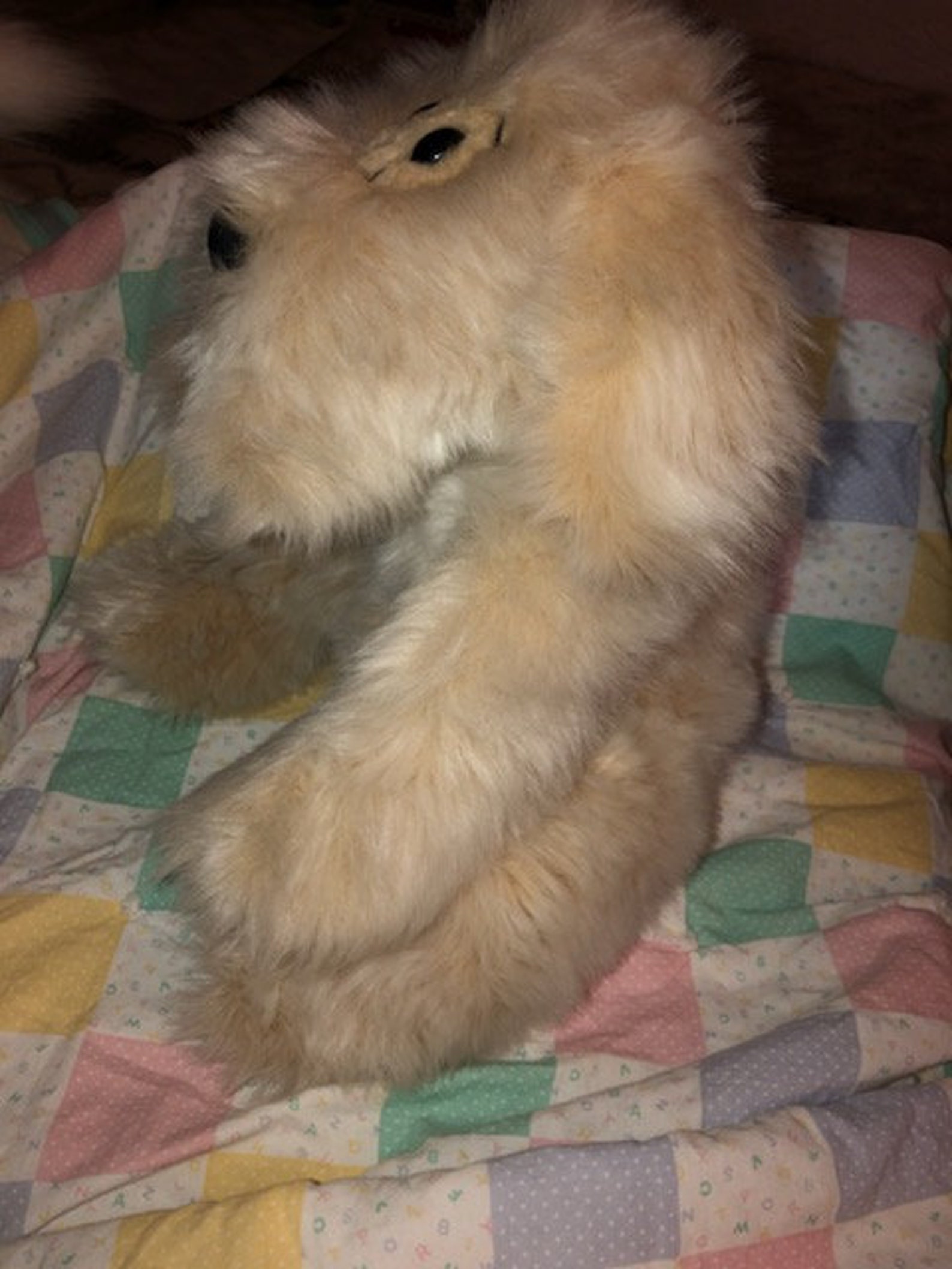 Vintage Russ Dog Plush Curly Fluffy Version 14 Cream - Etsy