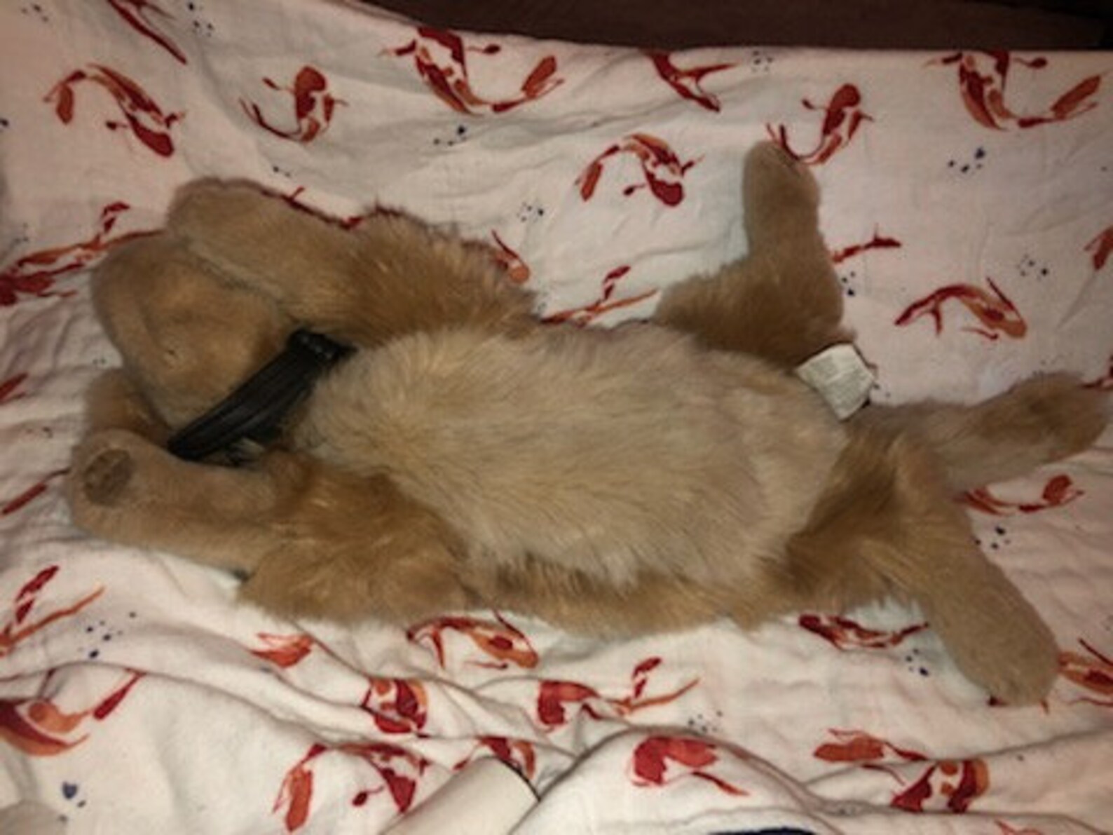 Vintage Ditz Dog plush Golden Retriever plush realistic also | Etsy