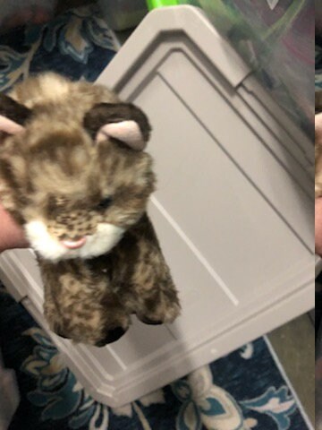 Vintage Russ Cat Plush Whiskers Brown Leopard Freckles Tabby | Etsy