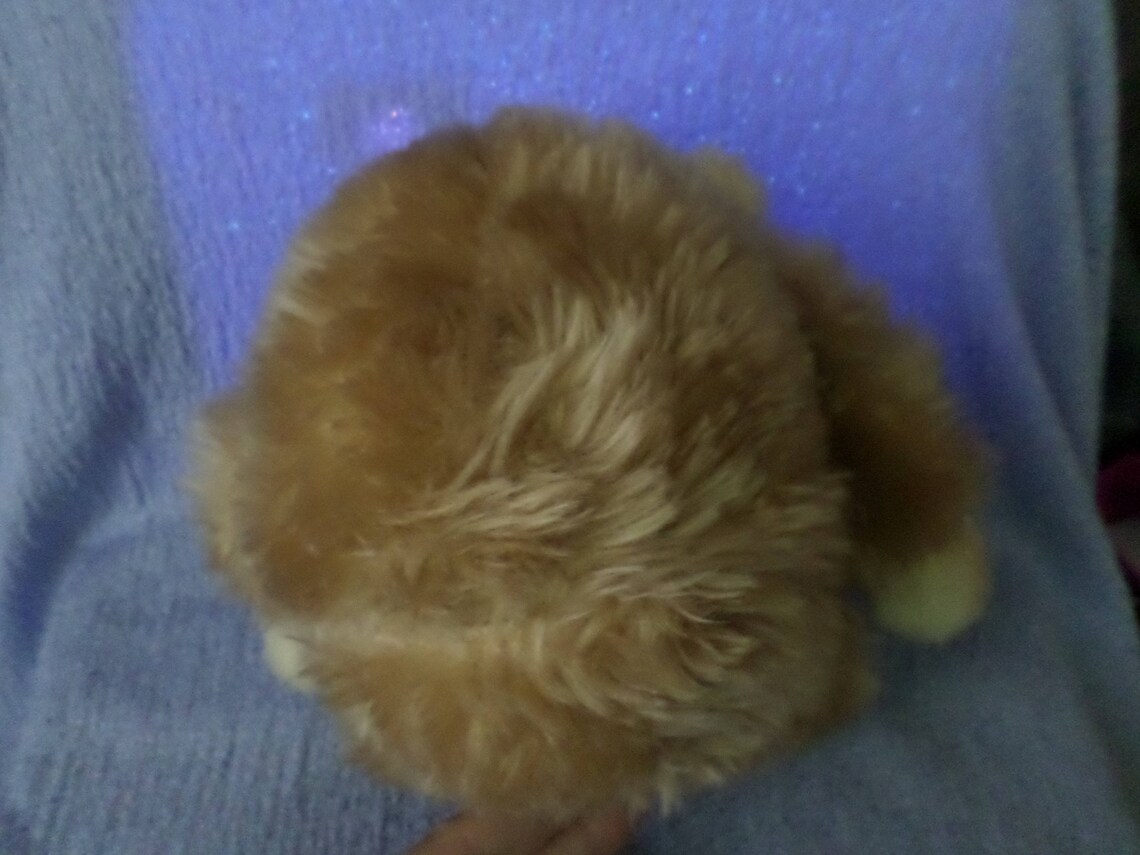 Vintage Ape Plush Monkey Gorilla Chubby Chunky Round Body Nose - Etsy