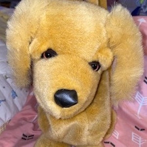 Vintage Mango Dog Plush Purse Mango Teddy Bear Co. ECU Golden Puppy ...