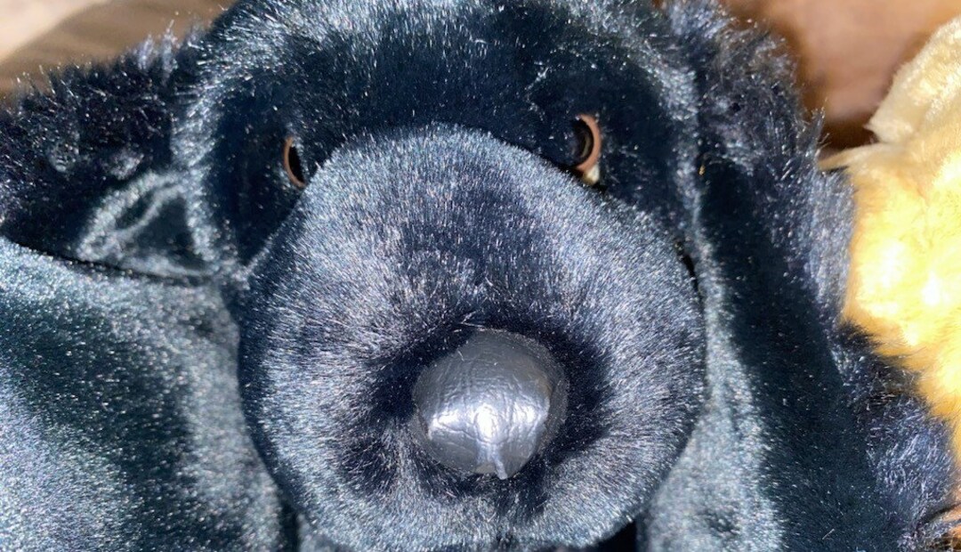 Vintage Russ Dog Plush Thunder Midnight Black Shiny Pleather Nose ...