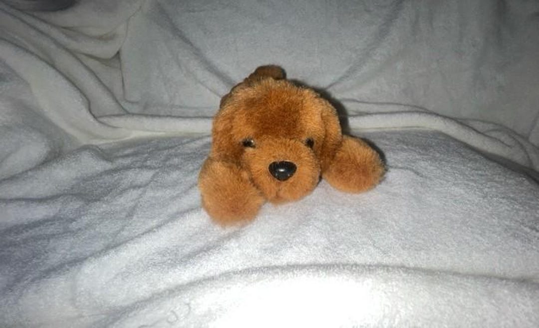 Vintage Animal Fair Dog Plush Small Rusty Red Brown Hard Nose Dated ...