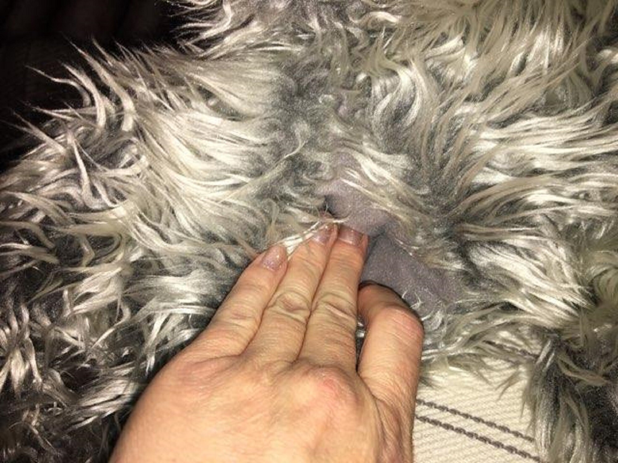 Puppets Toys & Games Vintage Folkmanis Scruffy Dog plush Puppet 20 ECU ...