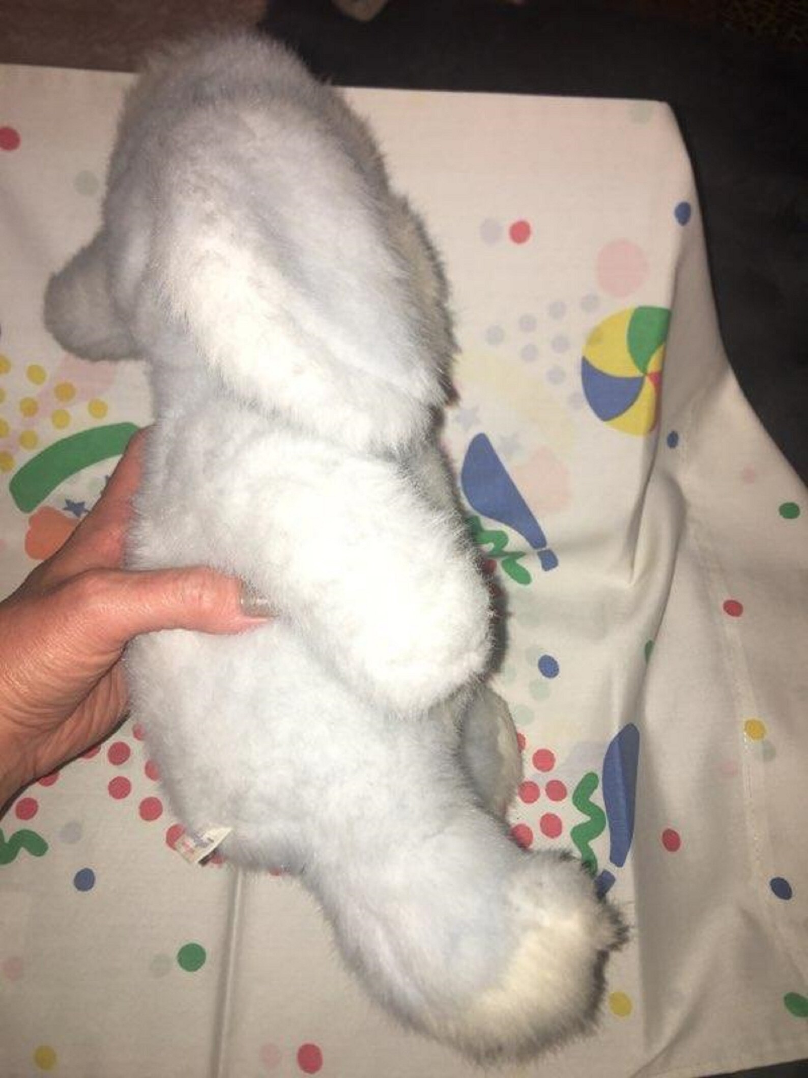 Vintage Jouets Boulgom Dog Plush Blue White France 14 - Etsy