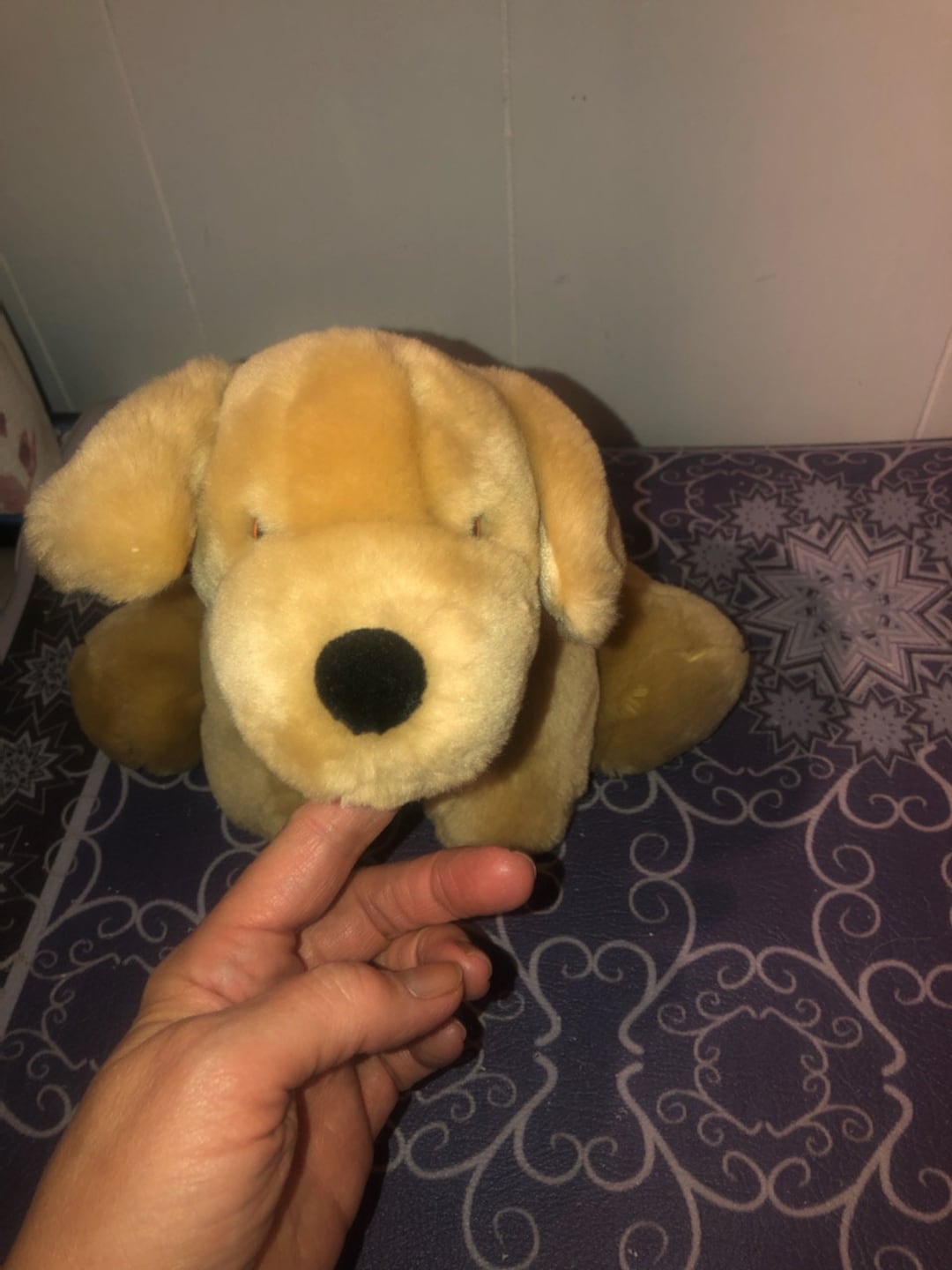 Vintage Commonwealth Dog Plush Blonde Golden 13" Version 2001 ECU ...